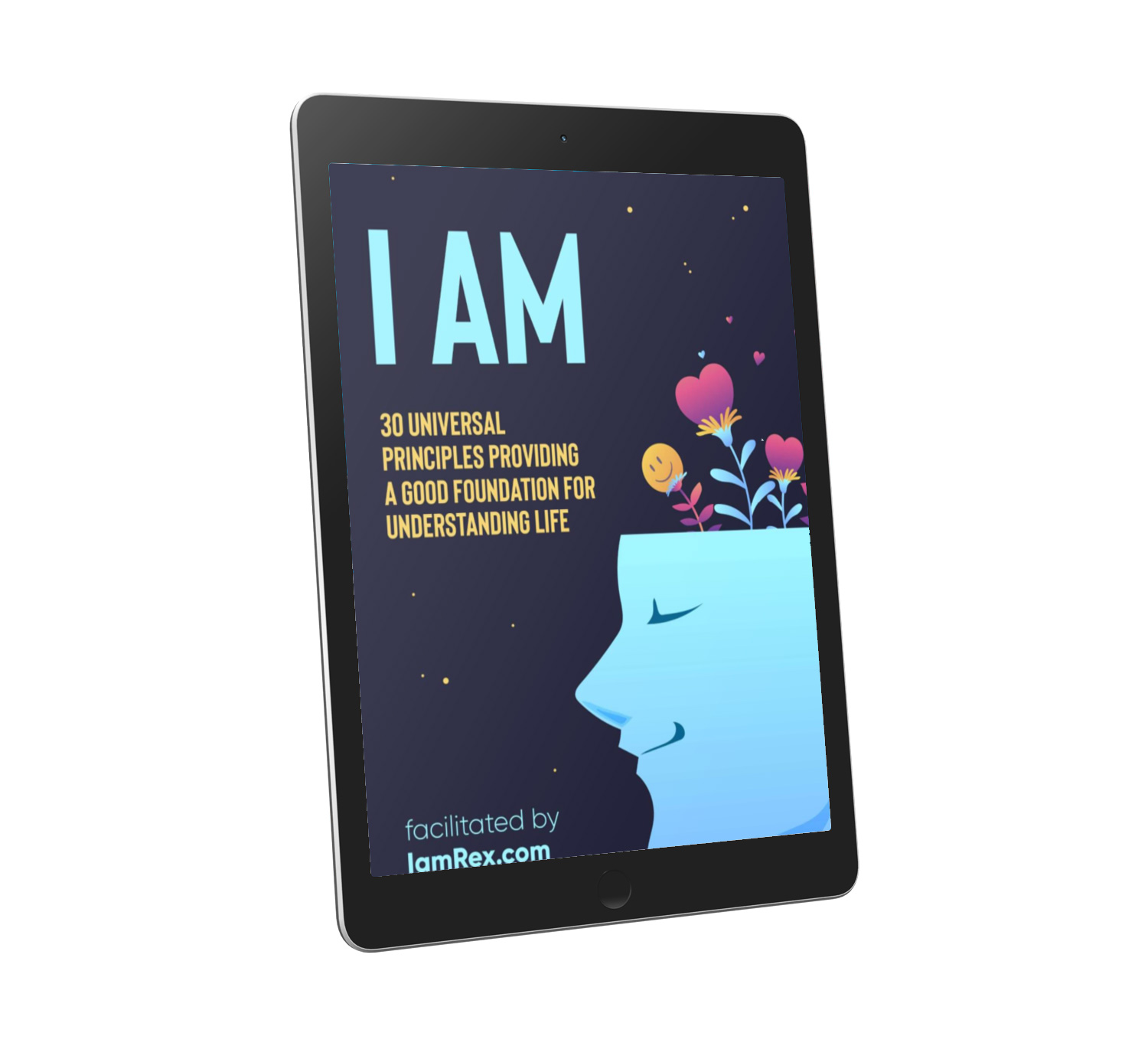 Universal Principles Book – Hardcopy or PDF – I am Rex